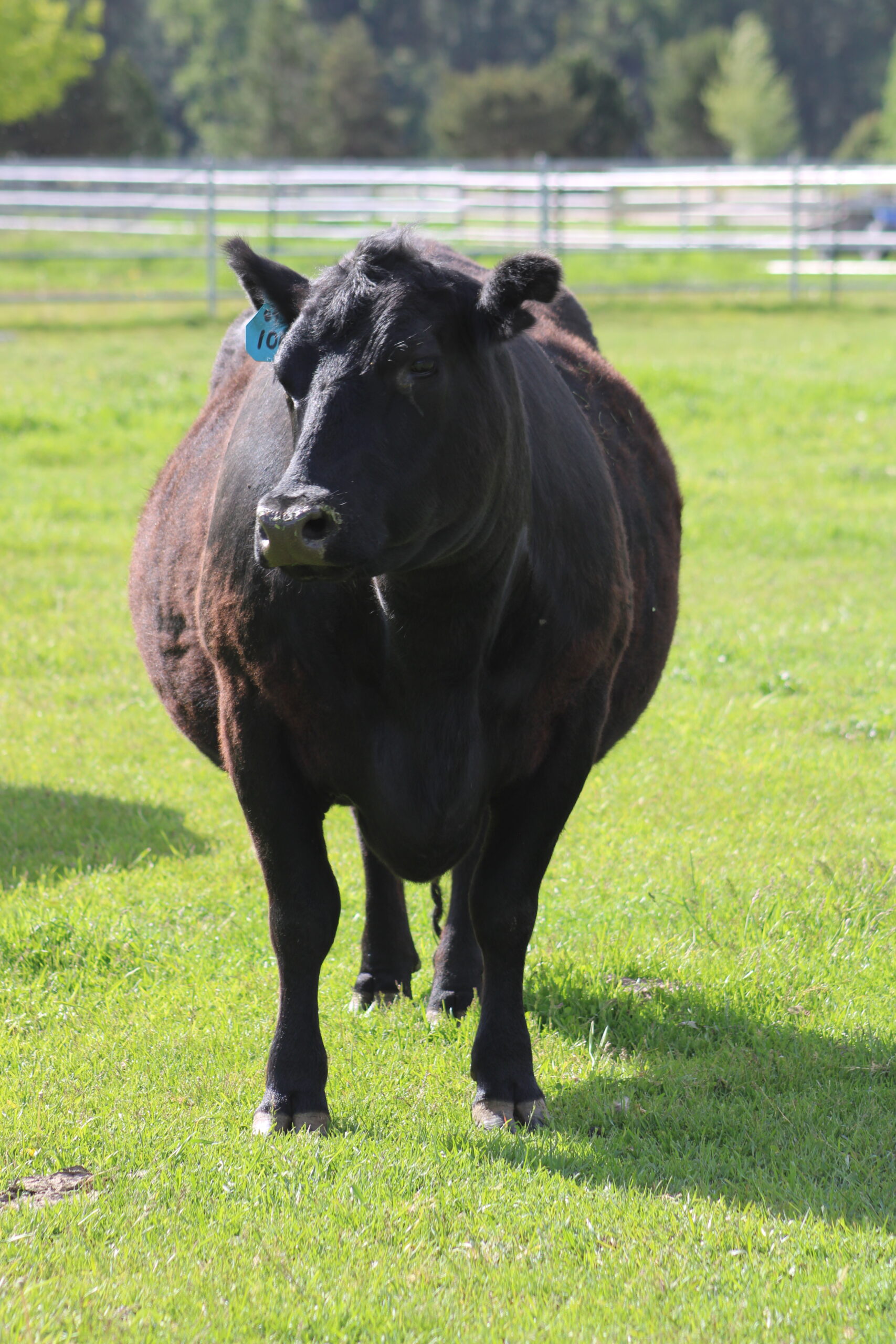 Exploring Montana Agriculture - SARE Western